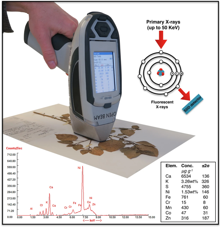 Imam's Thesis presentation